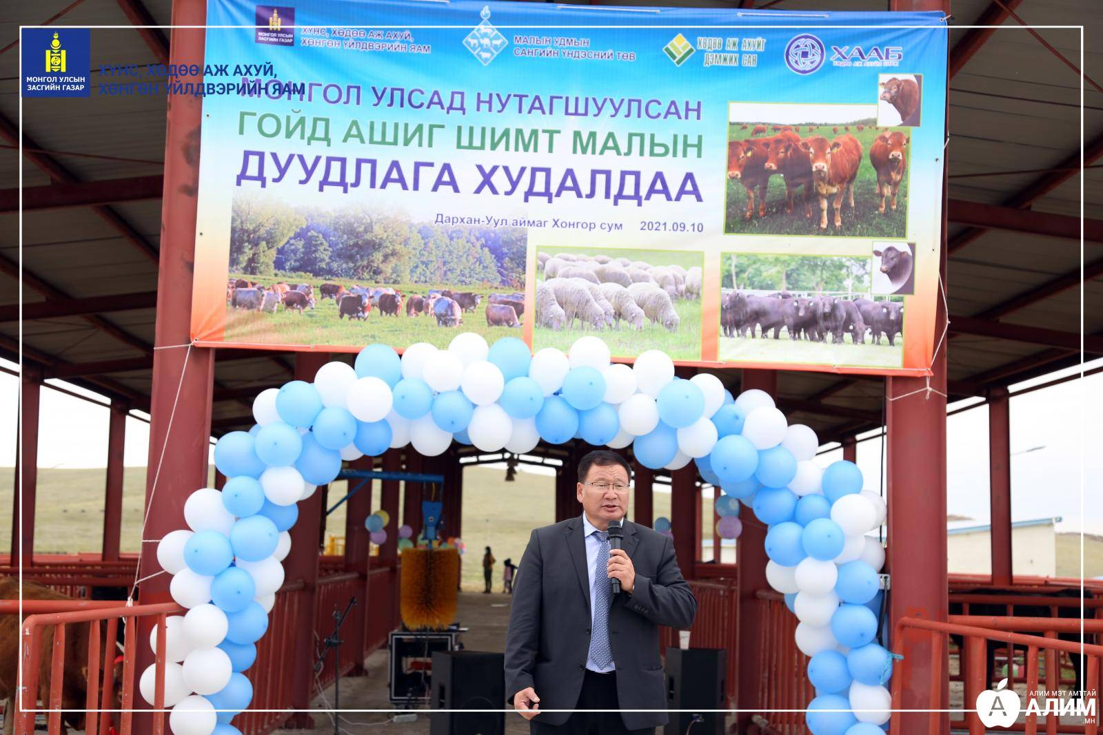 Малын дуудлага худалдаа зохион байгууллаа